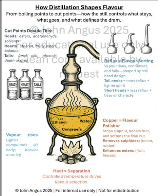 What Makes It Through the Still: The Hidden Chemistry of Distillation